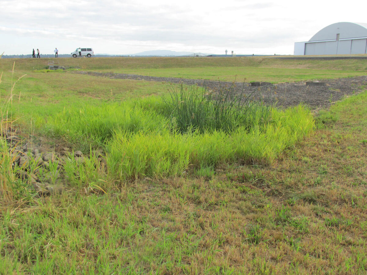 Port of Portland – Integrated Stormwater Master Plan - Gresham Smith