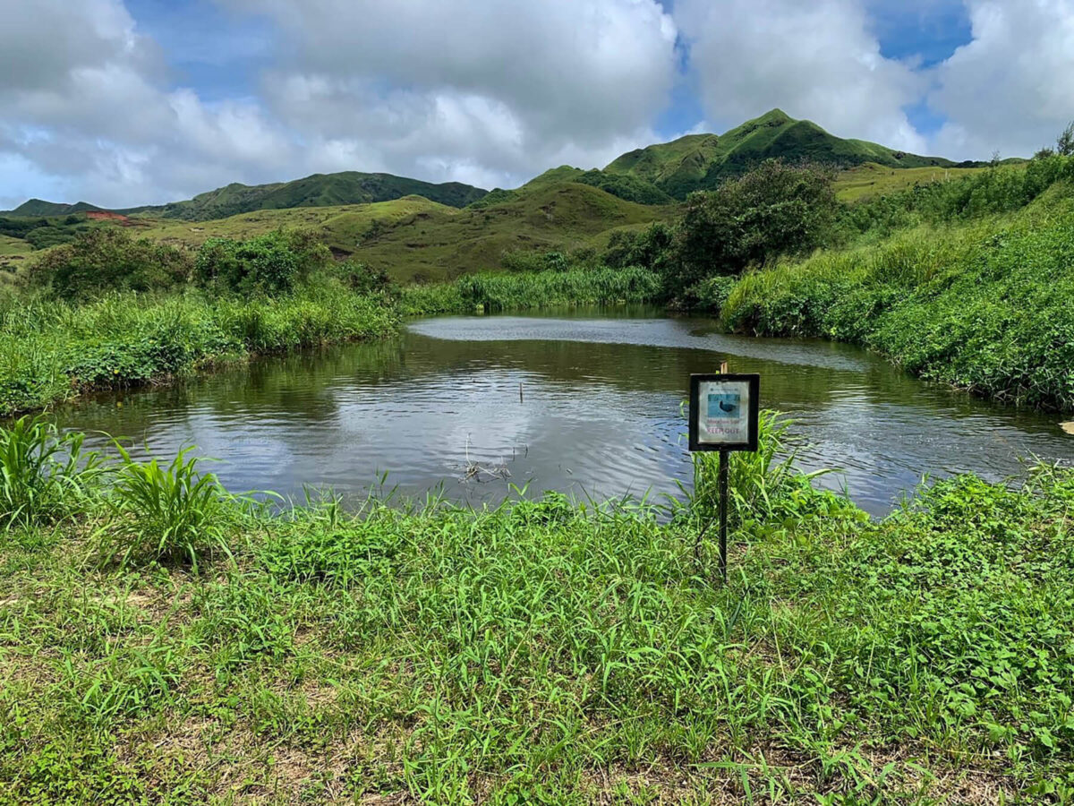 Guam Waterworks Authority Route 3 Interceptor Rehabilitation - Gresham ...
