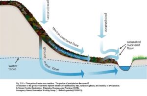 The Perfect Storm: Using Data to Design Right-Sized Stormwater ...